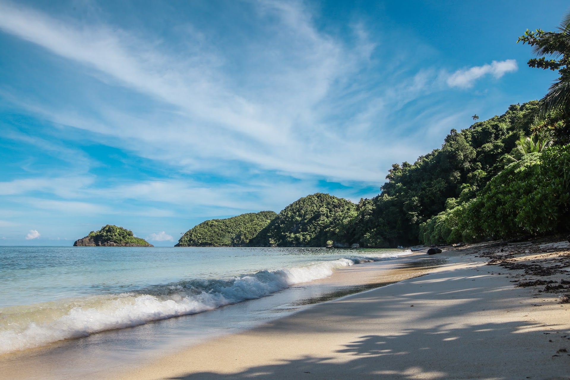 Danjugan Island (PRRCFI) | Roots Collective – Roots Collective PH