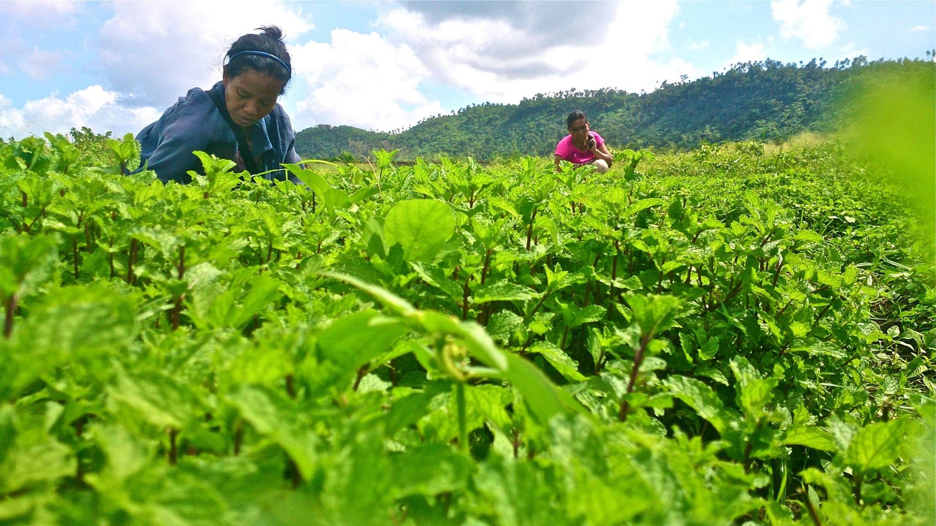 Roots Collective: Shop with purpose, empower communities – Roots ...